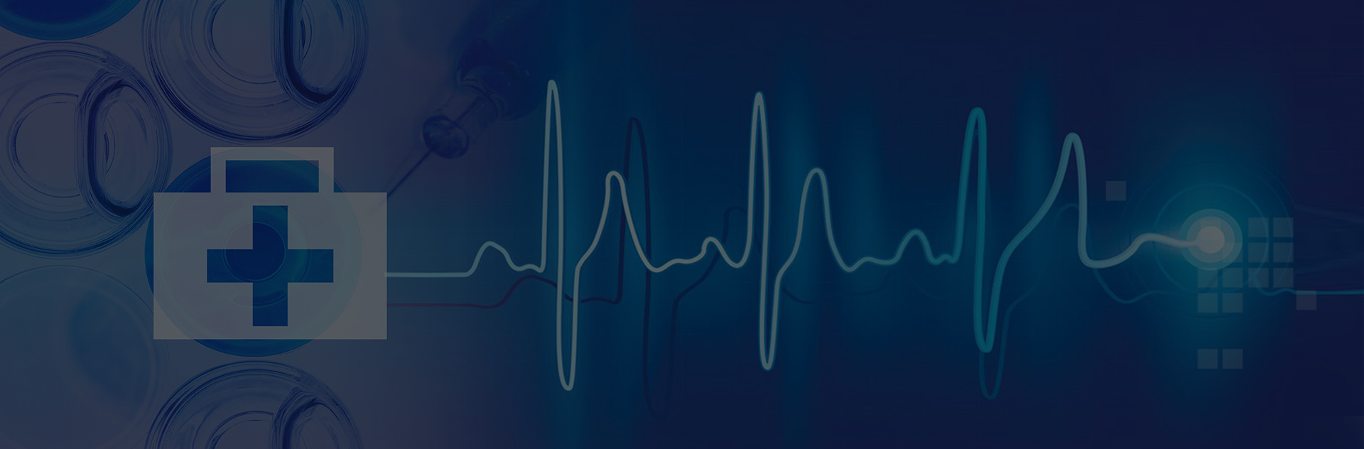 EasyFinder ® 一次性使用可调弯标测导管